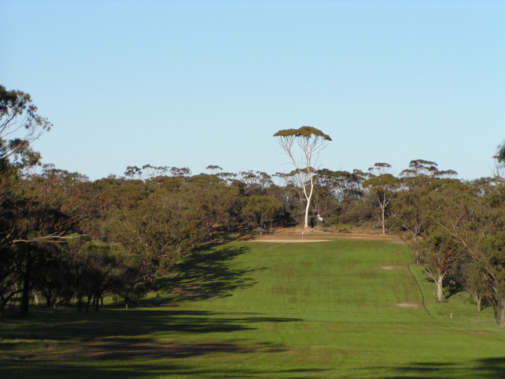 Events Calendar » Shire of Goomalling
